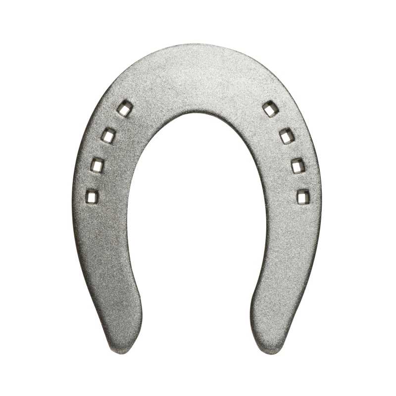 Steel shoe Sliding “S” hind without clip DOUBLE S