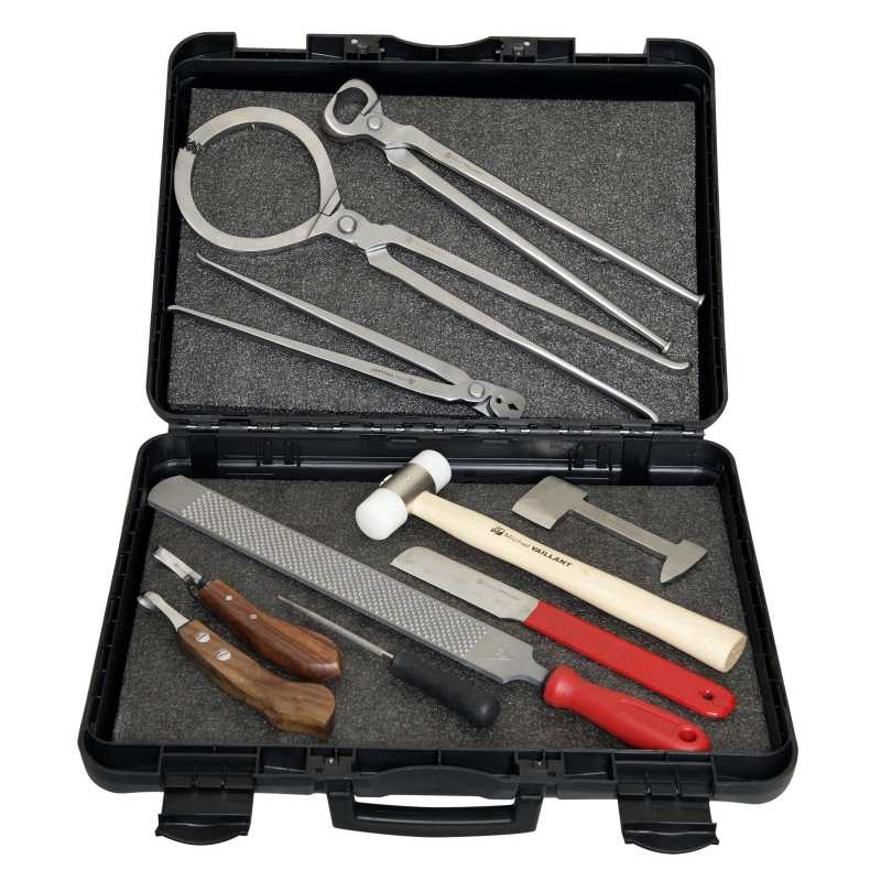 SPECIAL VETERINARY KIT version with 10 tools