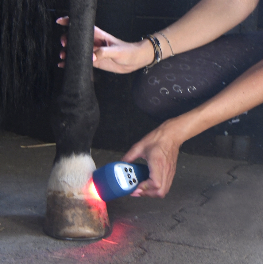 Activet Pro Laser - Classe 1